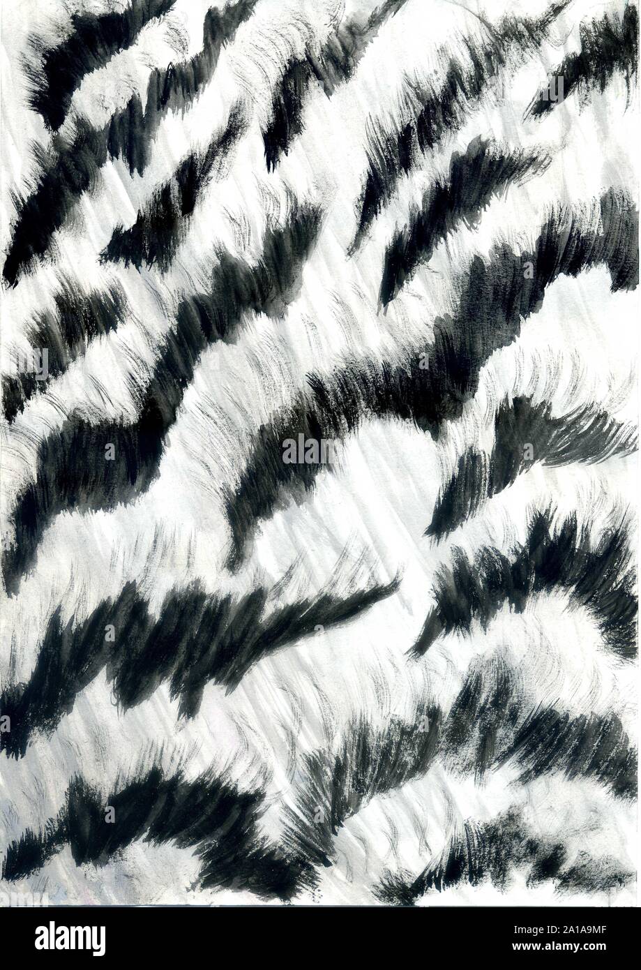 Animal Textures Drawing