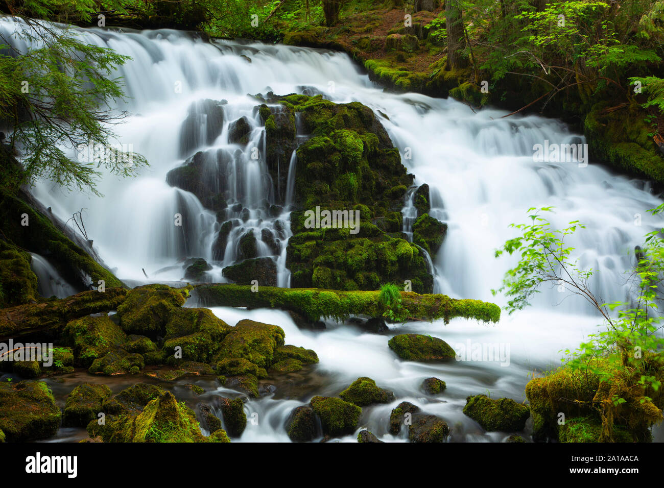 Pearsony Falls, Rogue Wild and Scenic River, Prospect State Scenic ...