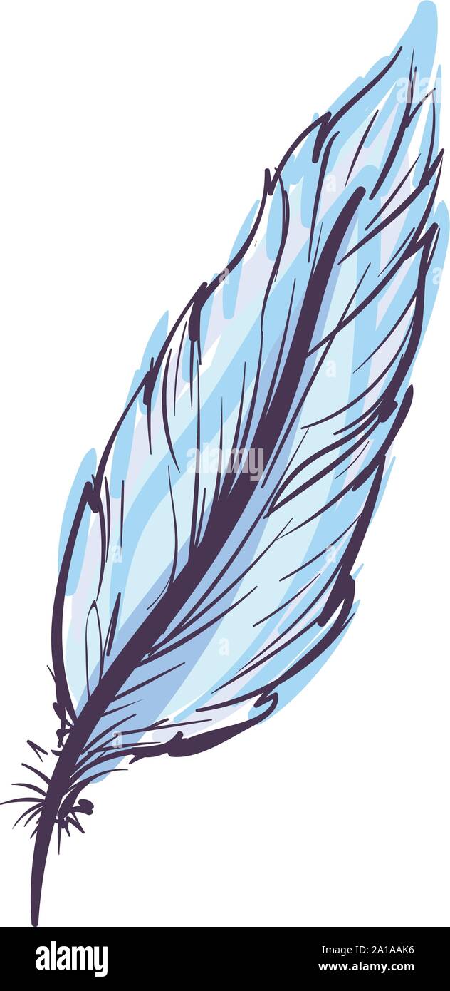 Blue feather, illustration, vector on white background Stock Vector ...