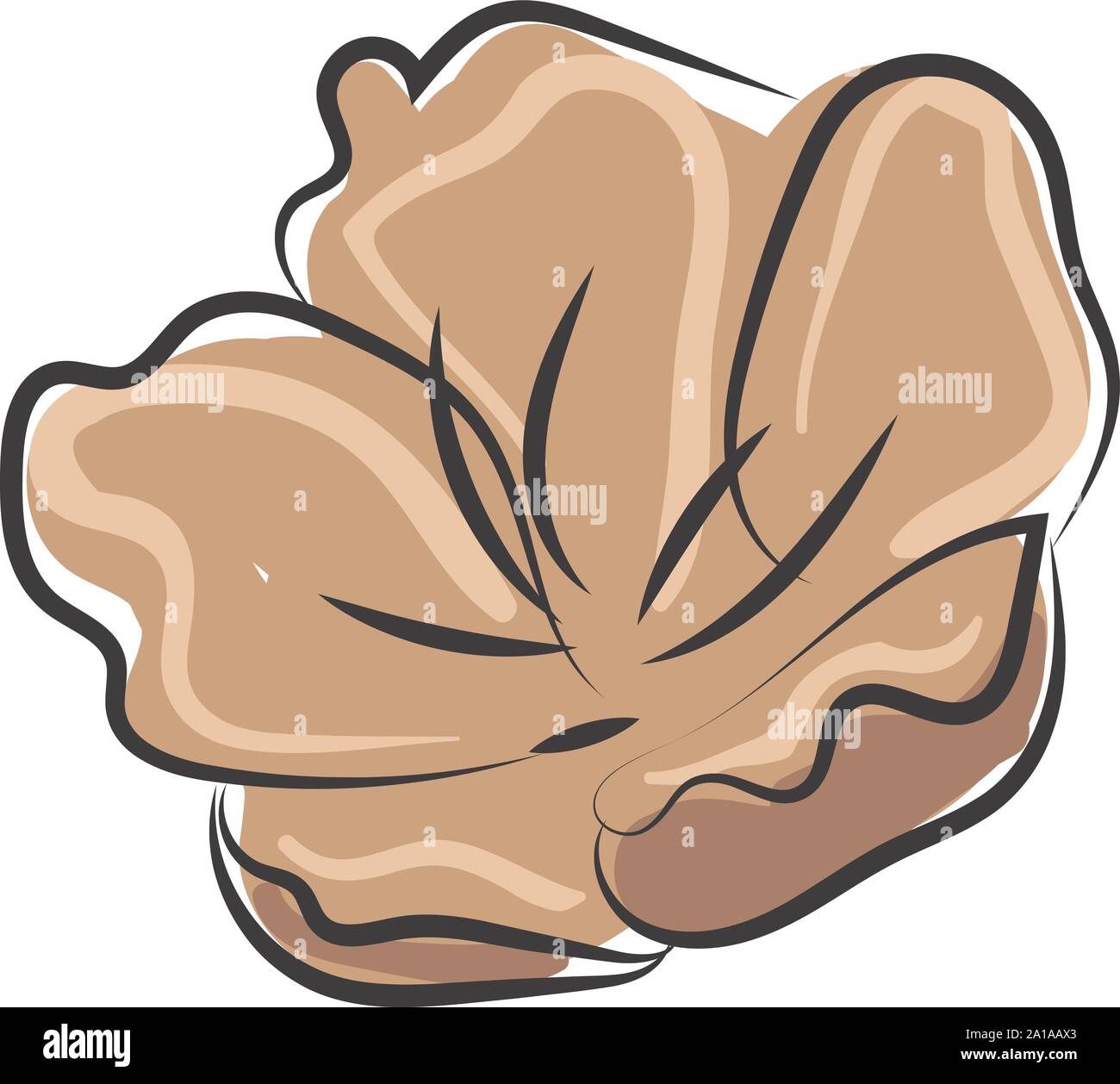 Flower head, illustration, vector on white background Stock Vector ...