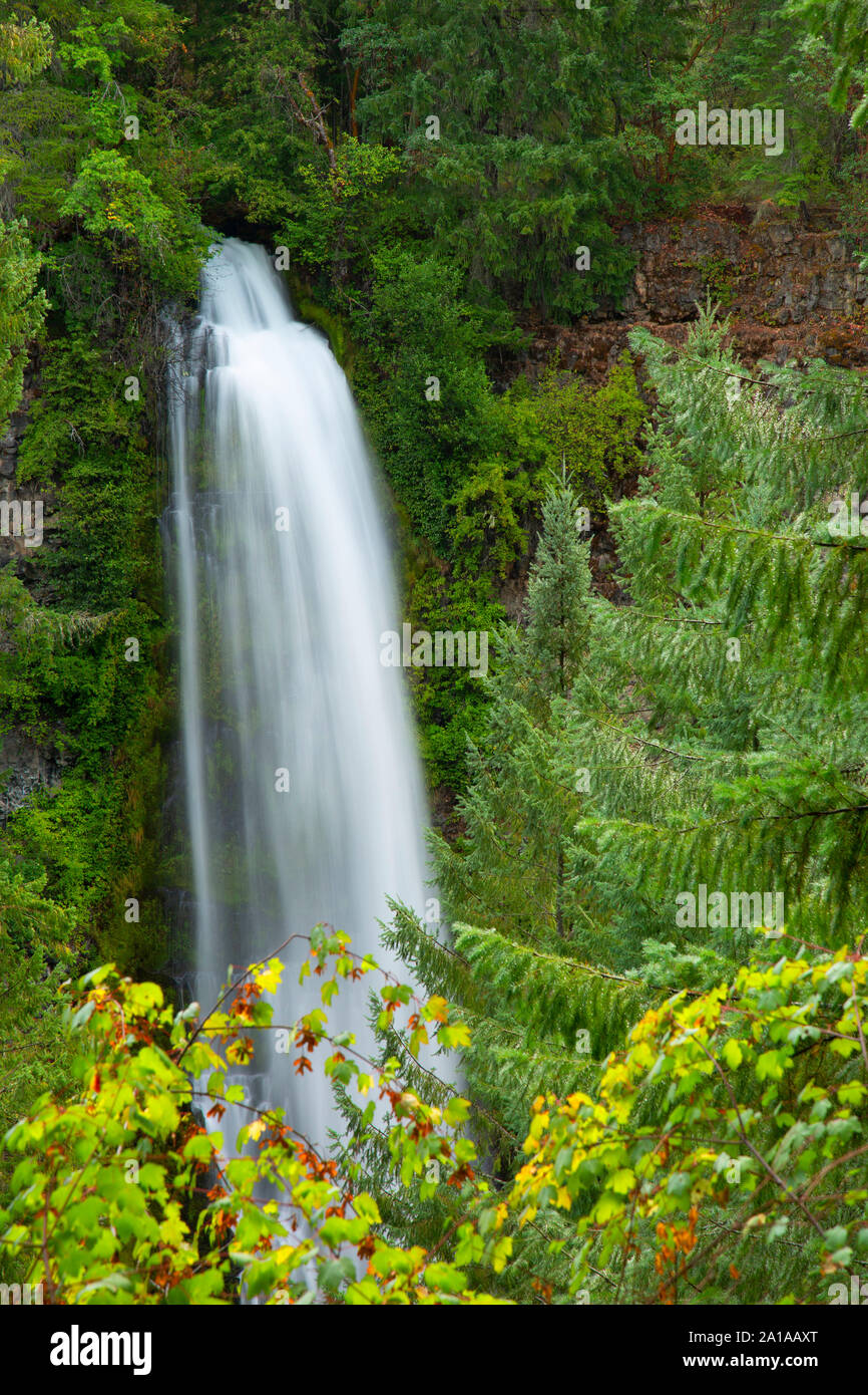 Mill Creek Falls, Rogue Wild and Scenic River, Prospect State Scenic ...