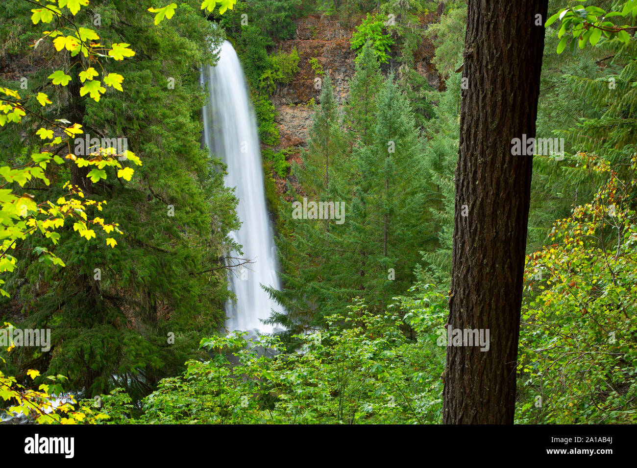 Mill Creek Falls, Rogue Wild and Scenic River, Prospect State Scenic ...