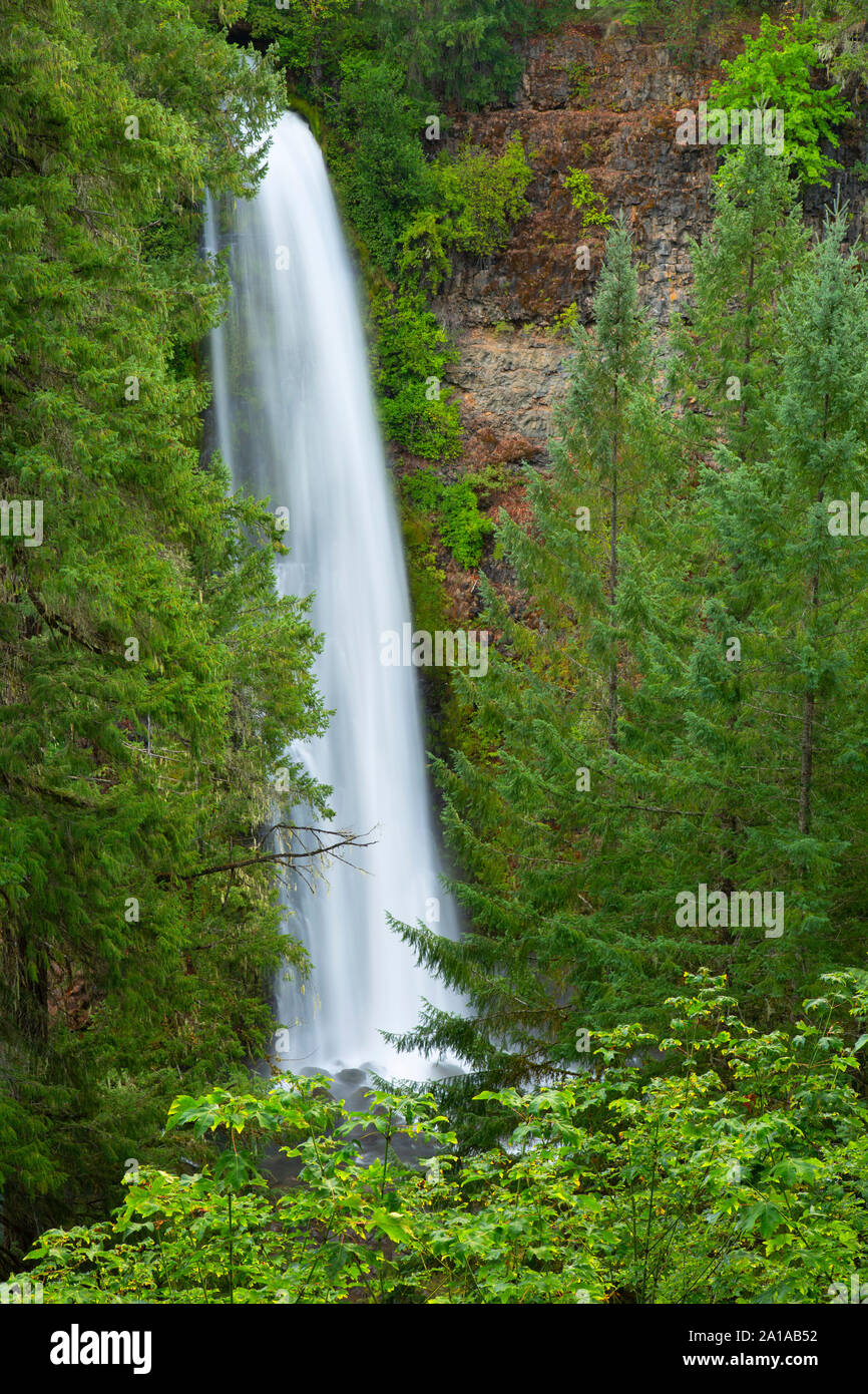Umpqua river national wild and scenic river hi-res stock photography ...