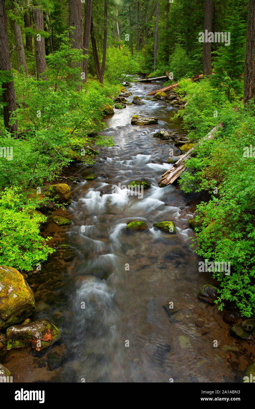 South Fork Rogue River, Rogue River National Forest, Oregon Stock Photo ...