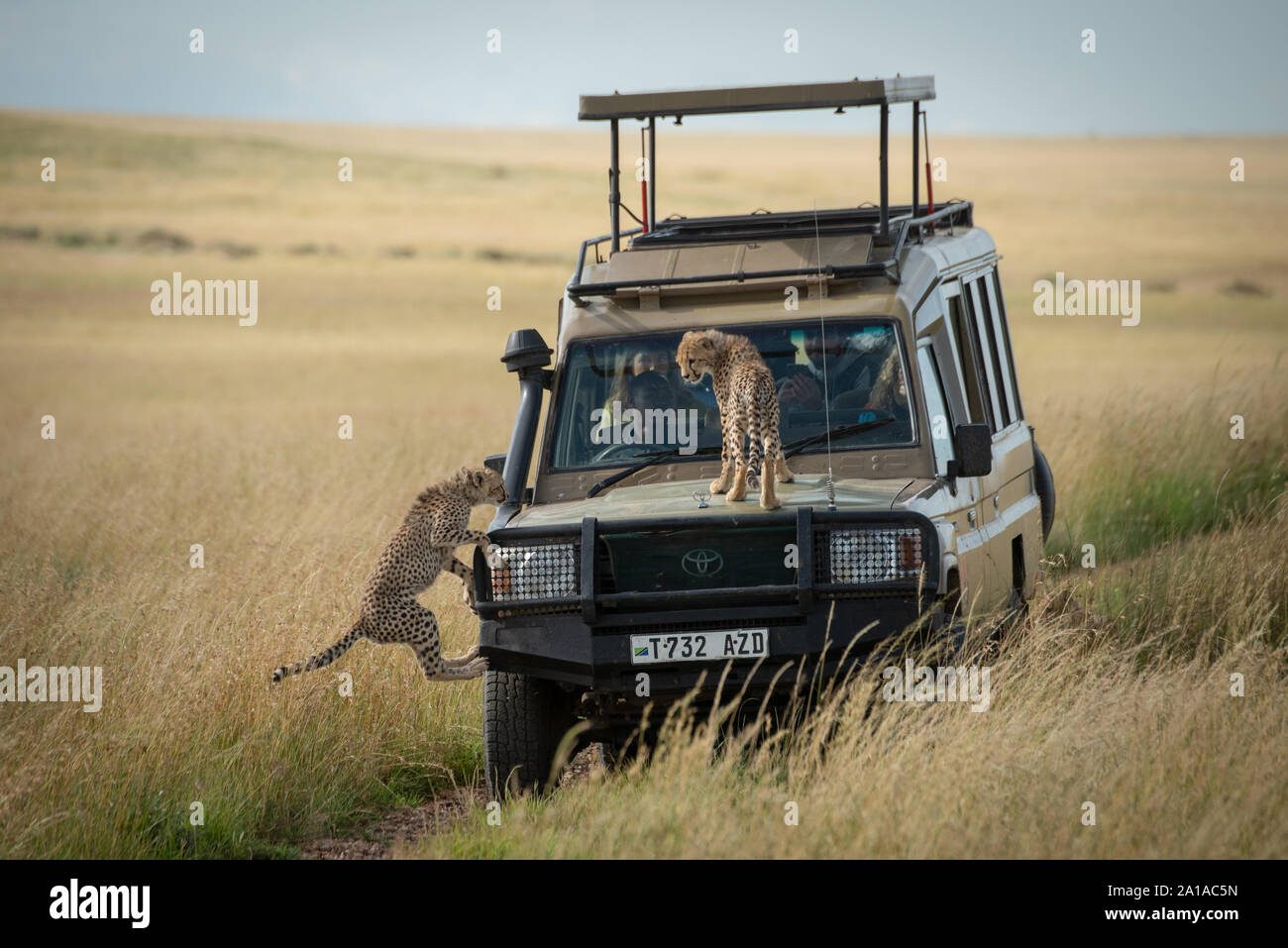 Car under jump hi-res stock photography and images - Alamy