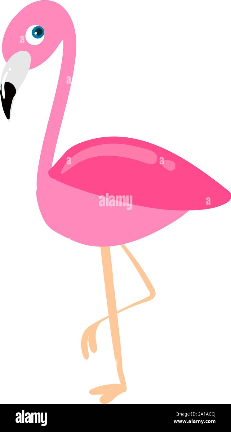 Cute flamingo, illustration, vector on white background Stock Vector ...