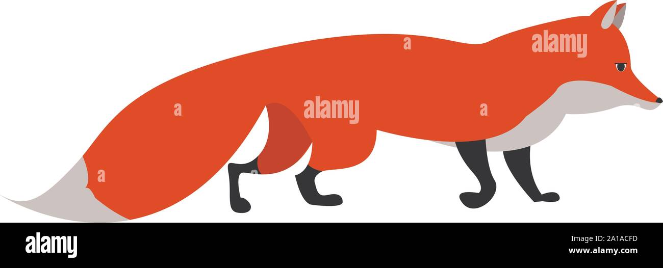 Big fox, illustration, vector on white background Stock Vector Image ...