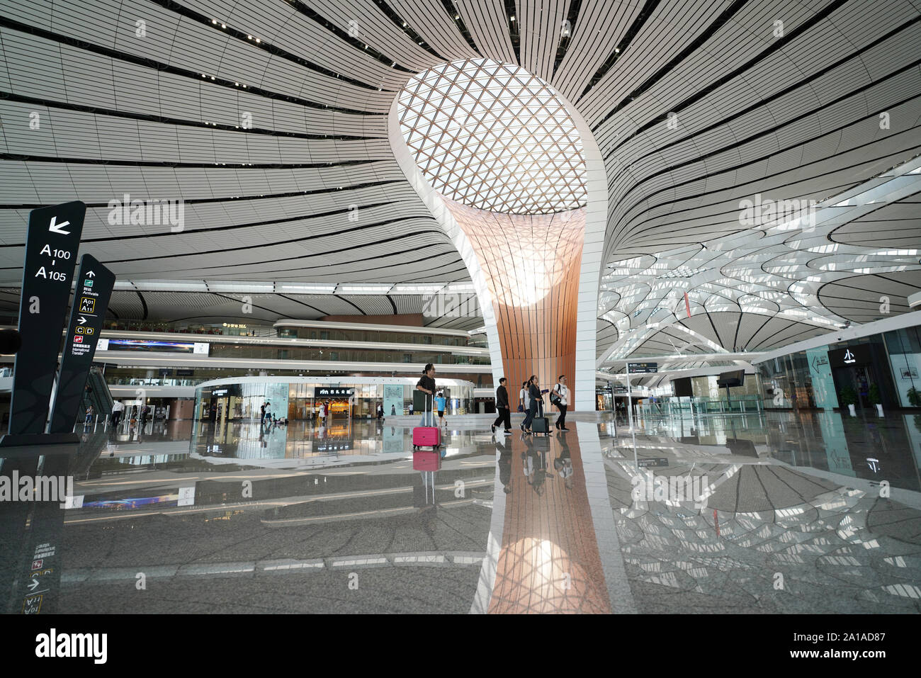 Terminal Wings High Resolution Stock Photography and Images - Alamy