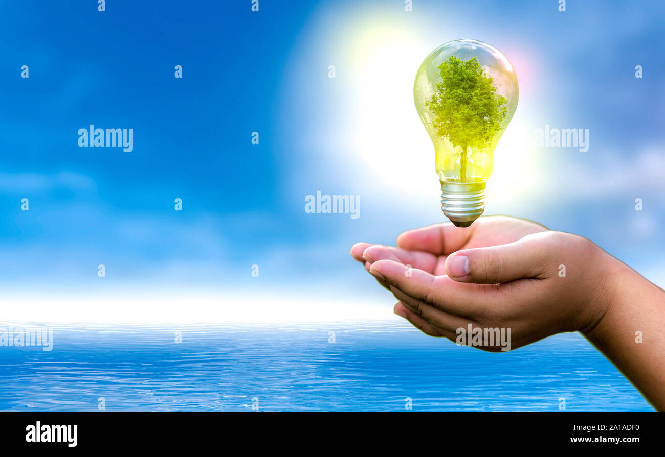 Renewable energy concept Earth Day or environment protection Hands ...