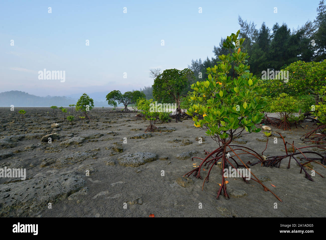 India, View on the Saddle peak and Kalipur Beach of the Andaman and ...