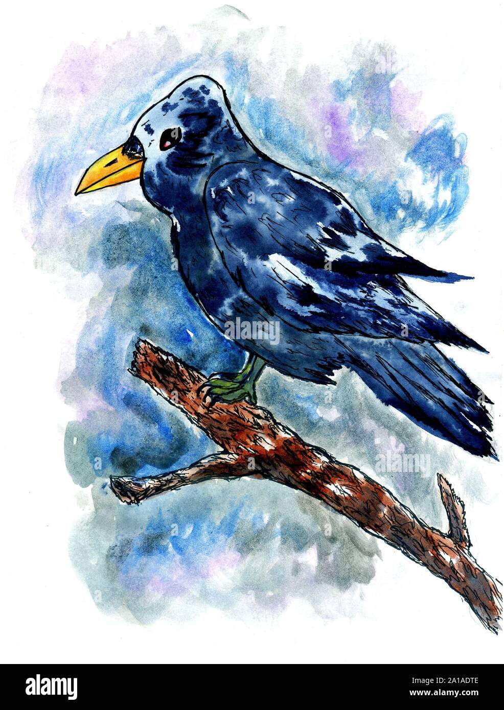 Grunge hand drawn illustration of a big crow sitting on a branch Stock ...