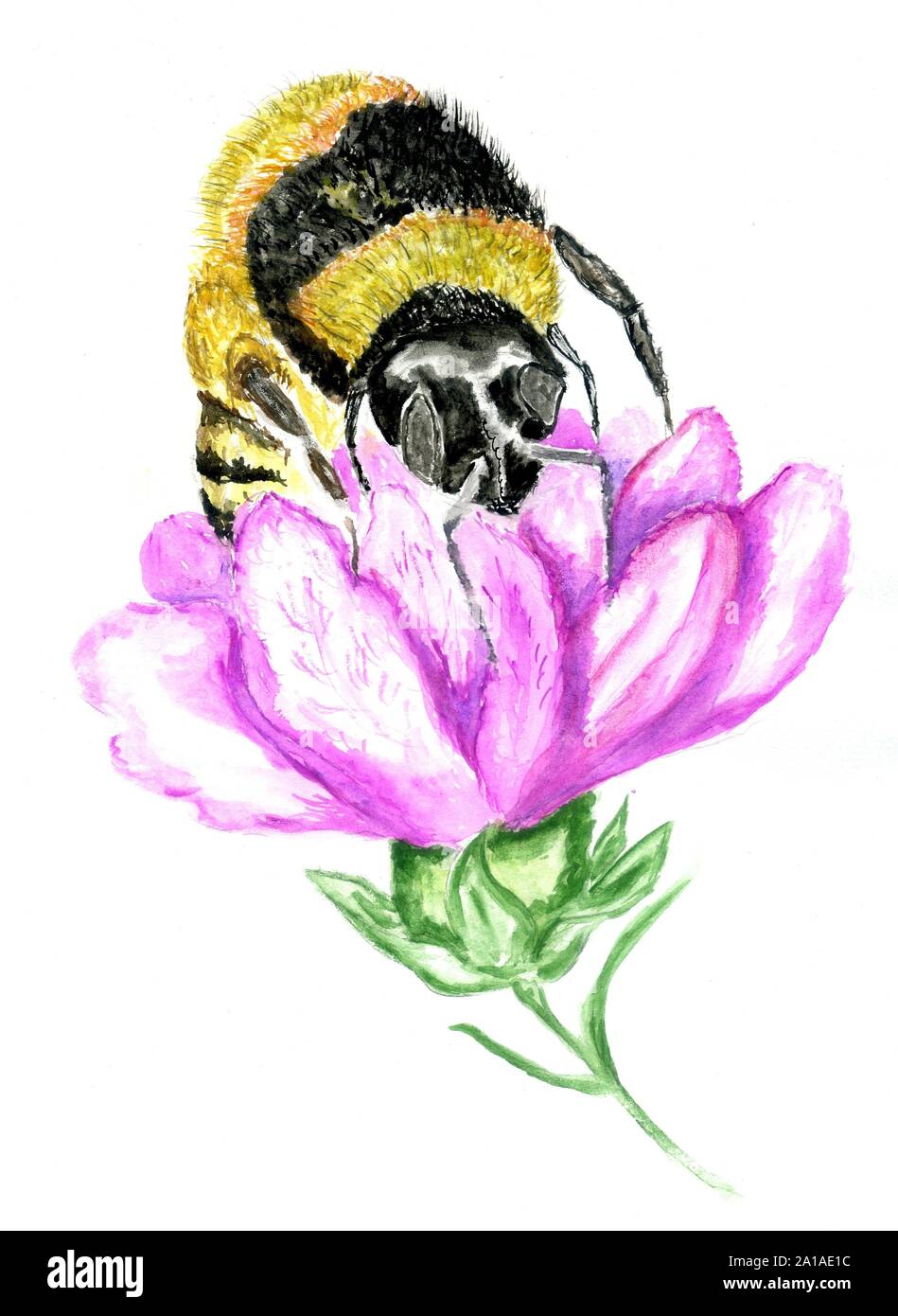 Yellow honey bee hand drawn watercolor illustration Stock Photo - Alamy