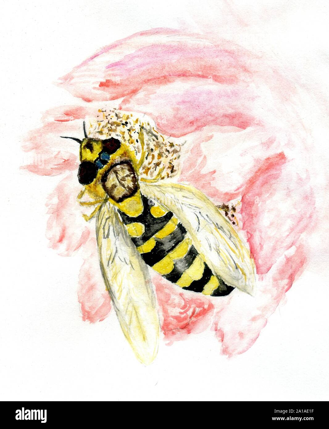 Yellow honey bee hand drawn watercolor illustration Stock Photo - Alamy