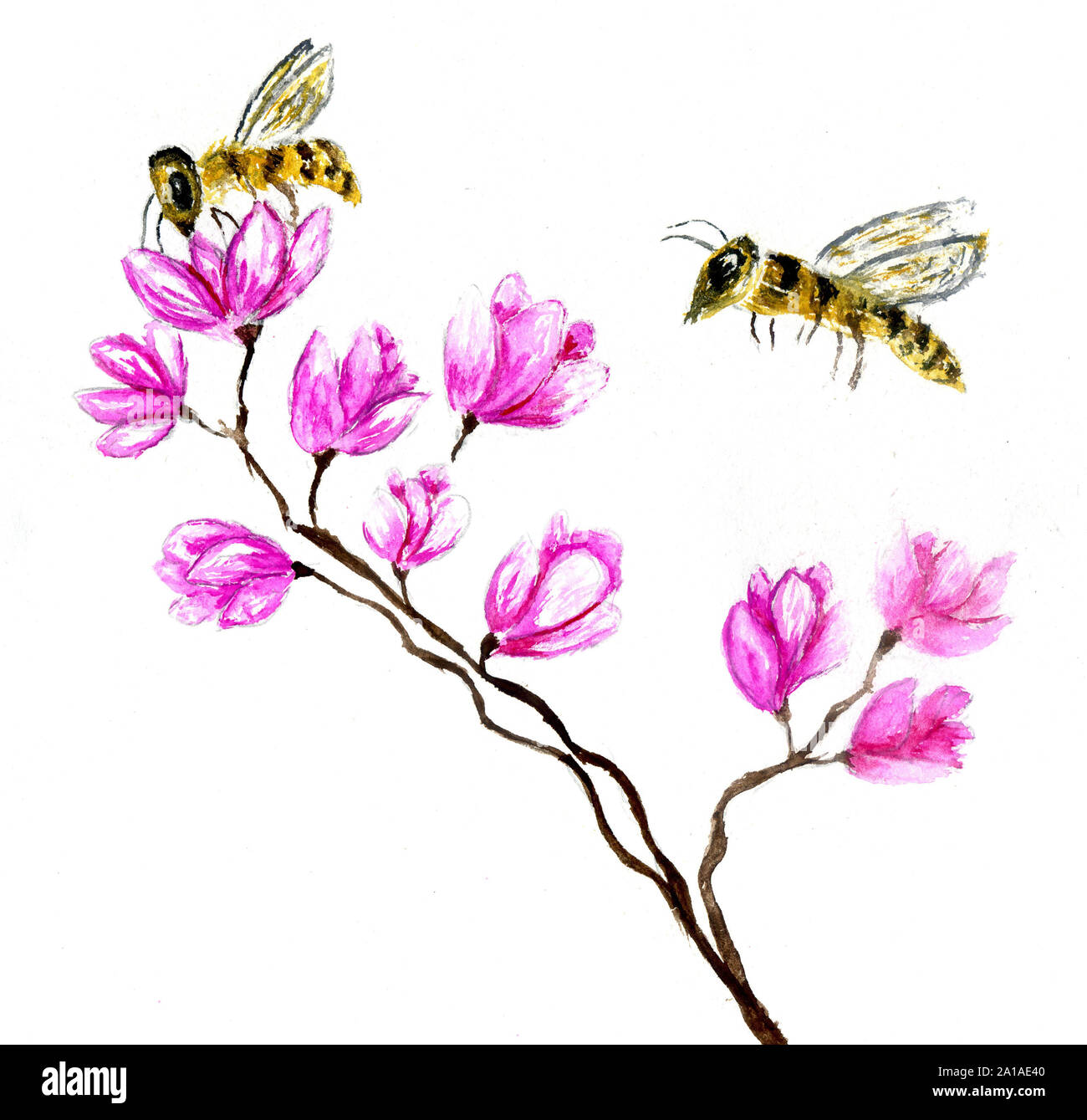 Yellow honey bee hand drawn watercolor illustration Stock Photo - Alamy