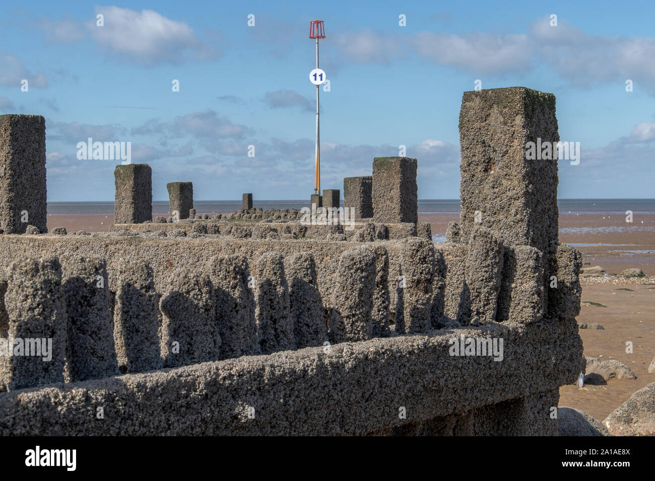Beach groyne on the beach at Hunstanton, Norfolk Stock Photo - Alamy