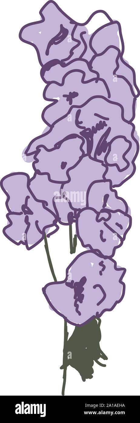 Larkspur flowers Stock Vector Images - Alamy