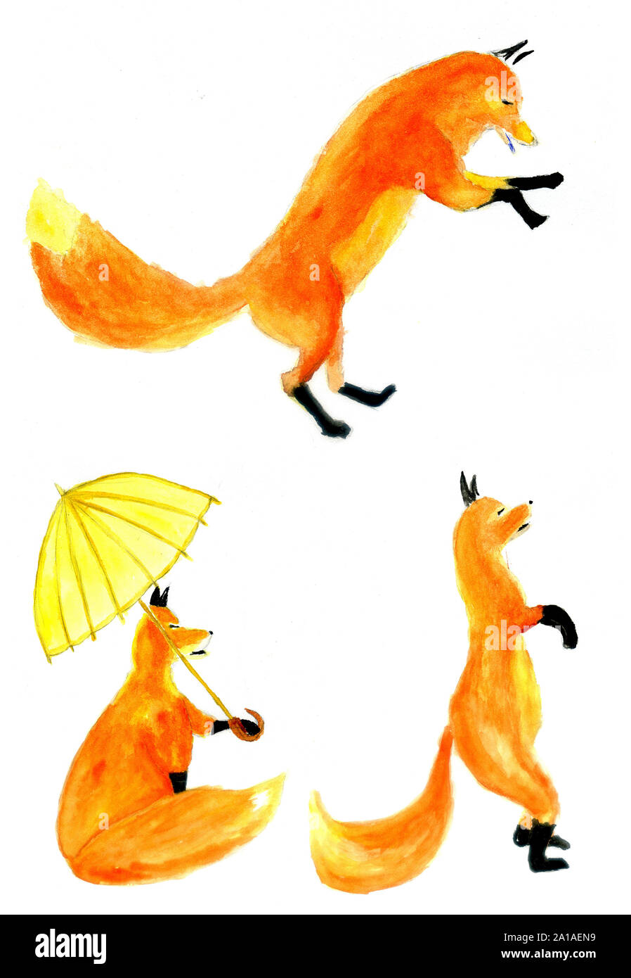 Cartoon orange fox, hand drawn animal watercolor illustration Stock ...