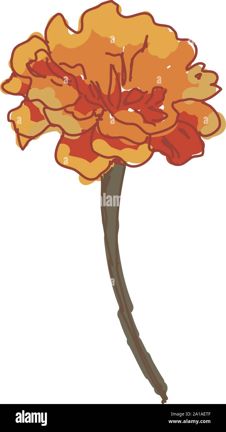 Orange flower, illustration, vector on white background Stock Vector ...