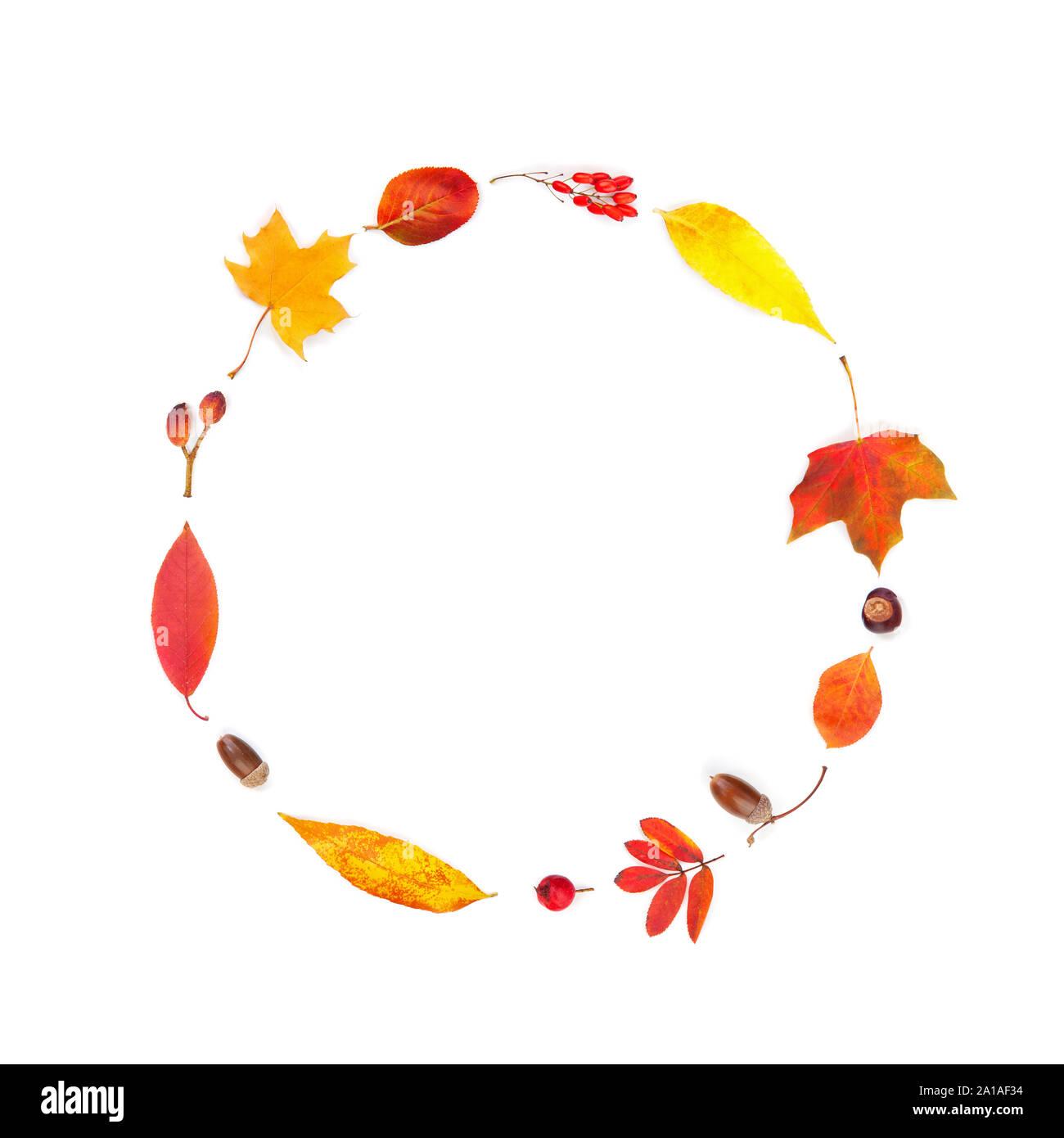 Colorful fall leaves ring shape composition. Autumn leaves frame on ...