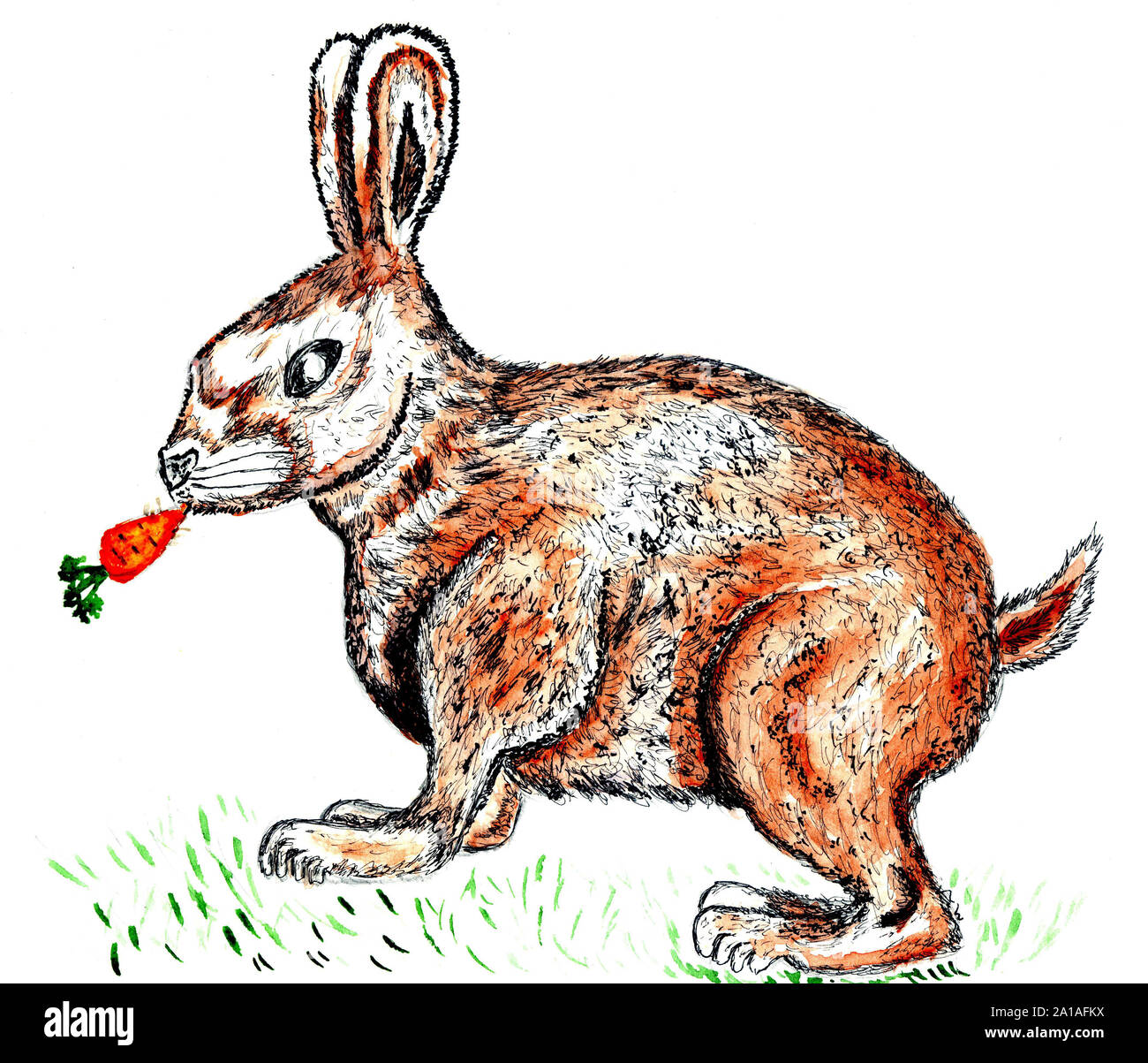 Cartoon lovely rabbit, bunny, hand drawn illustration Stock Photo - Alamy