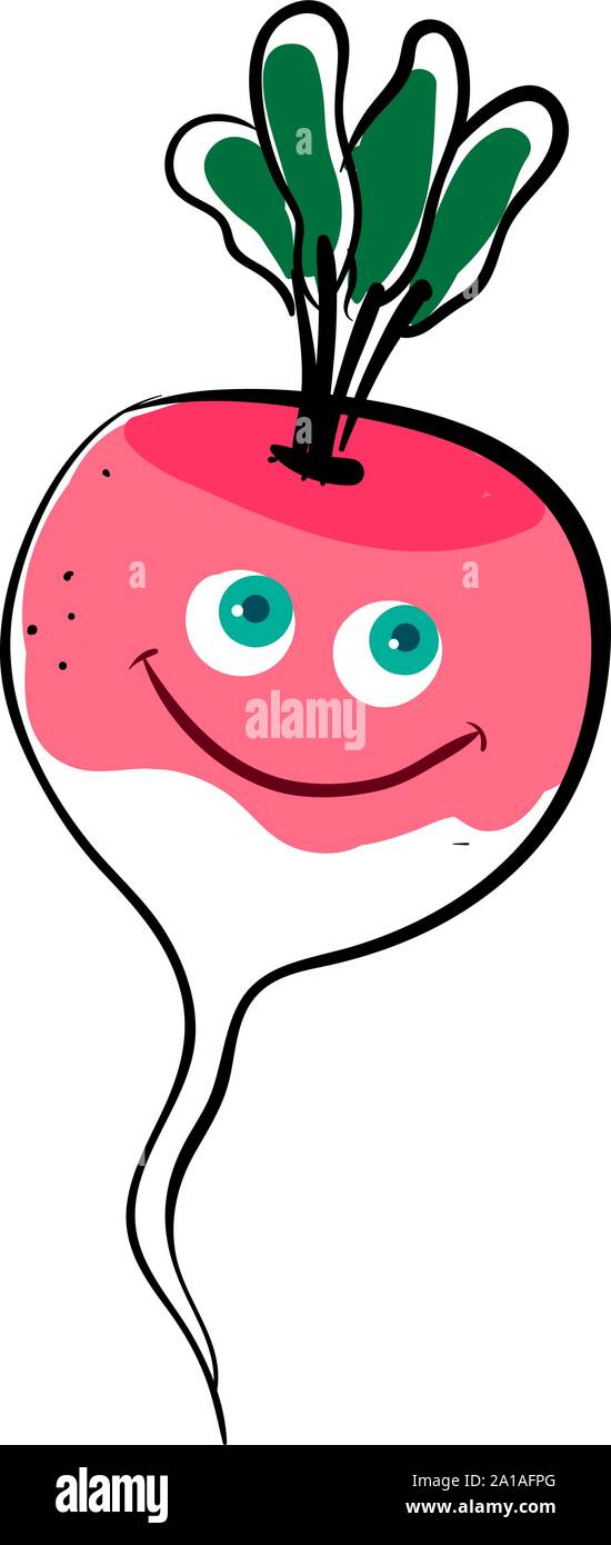 Cute radish, illustration, vector on white background Stock Vector ...