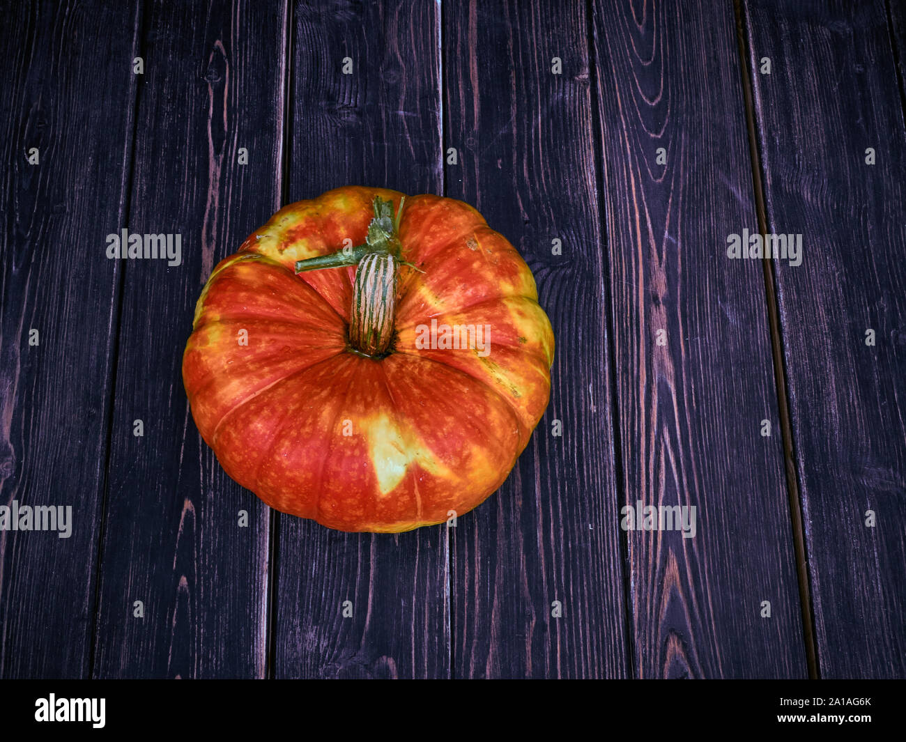 A very juicy and very multi-color beautiful pumpkin is photographed ...