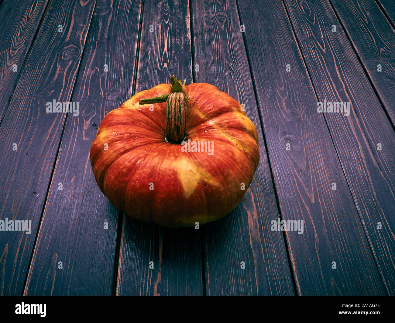 A very juicy and very multi-color beautiful pumpkin is photographed ...