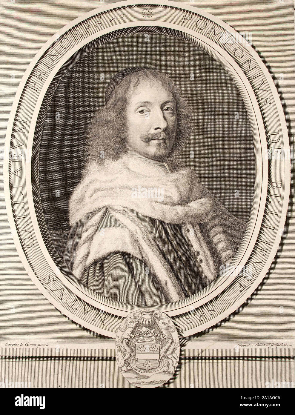 Pompone hi-res stock photography and images - Alamy