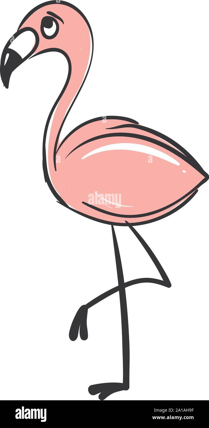 Sad flamingo, illustration, vector on white background Stock Vector ...