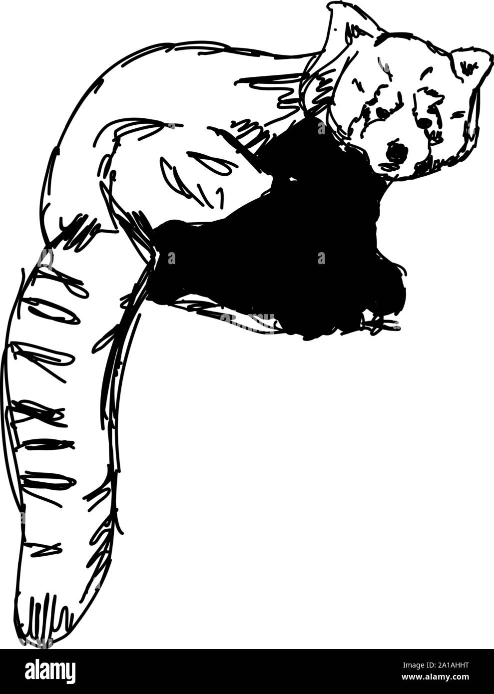 Adorable red panda on Stock Vector Images - Alamy