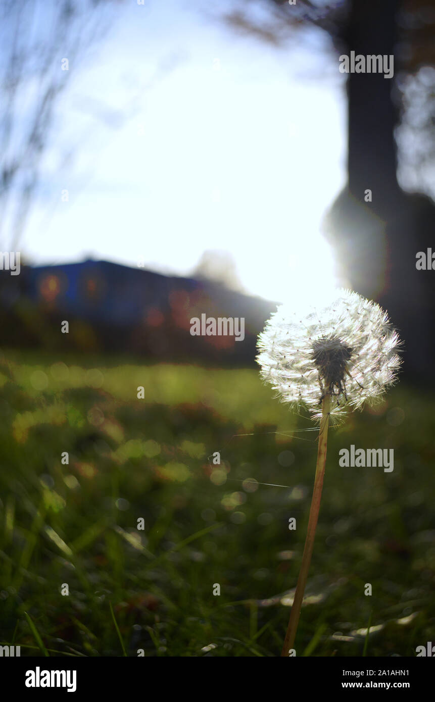 Spring in Munich Germany Stock Photo - Alamy