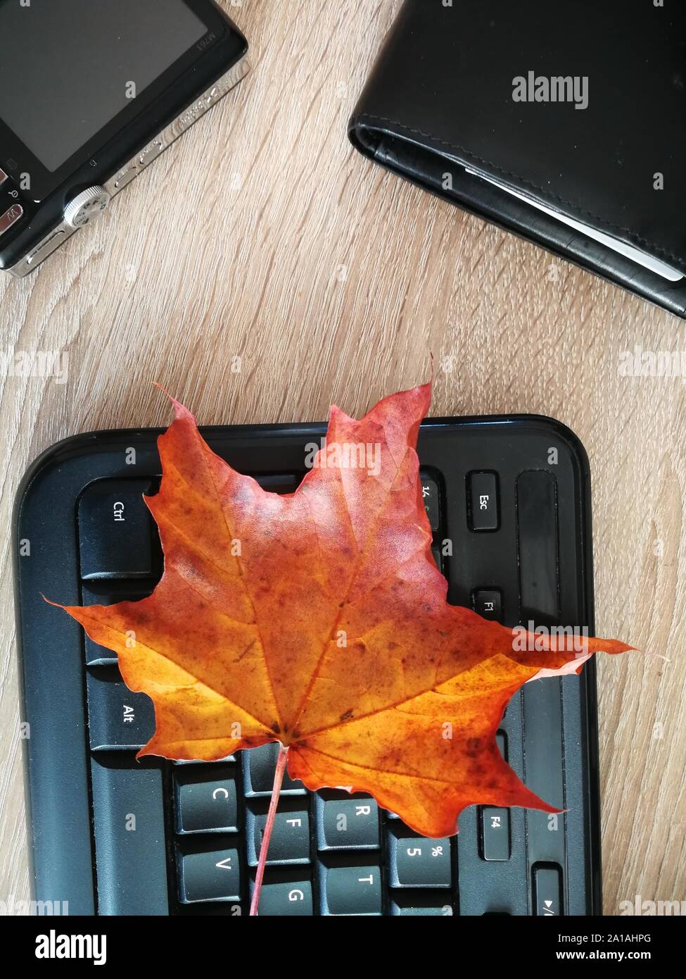 Autumnbackground hi-res stock photography and images - Alamy