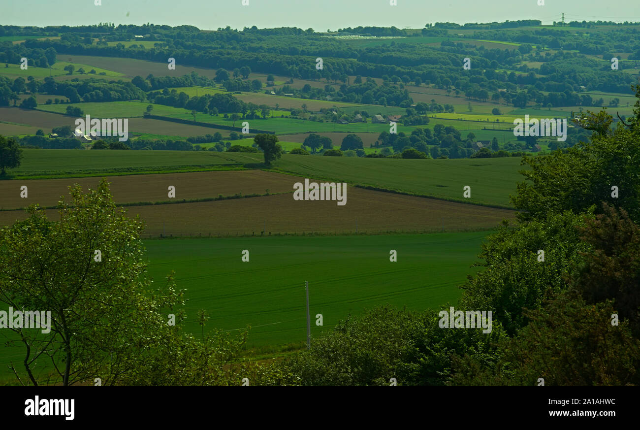 Green fields in normandy france hi-res stock photography and images - Alamy