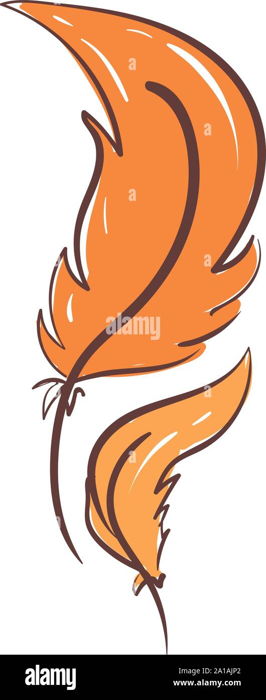 Orange feather, illustration, vector on white background Stock Vector ...