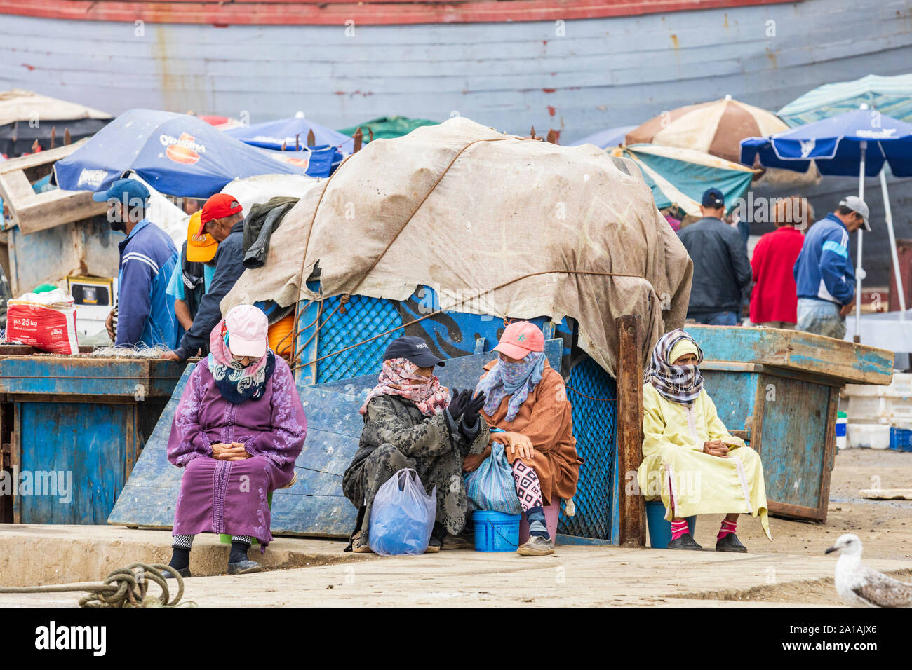 Fishing women in the harbour area of Essaouira, Morocco, Maghreb, North ...