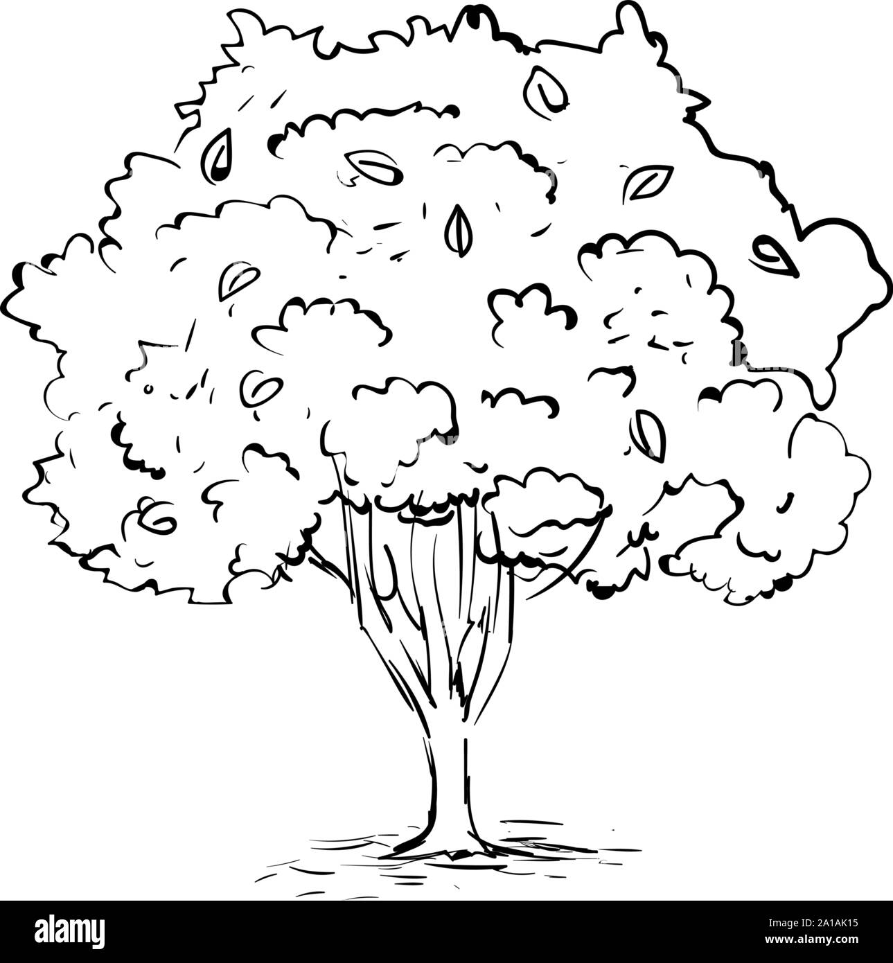 Tree drawing, illustration, vector on white background Stock Vector ...
