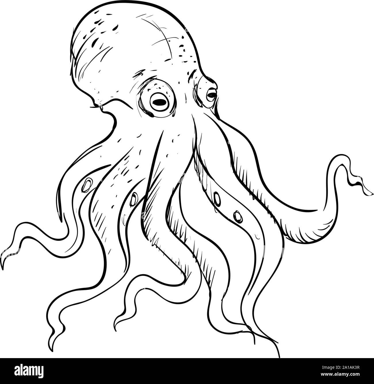 Octopus drawing, illustration, vector on white background Stock Vector ...