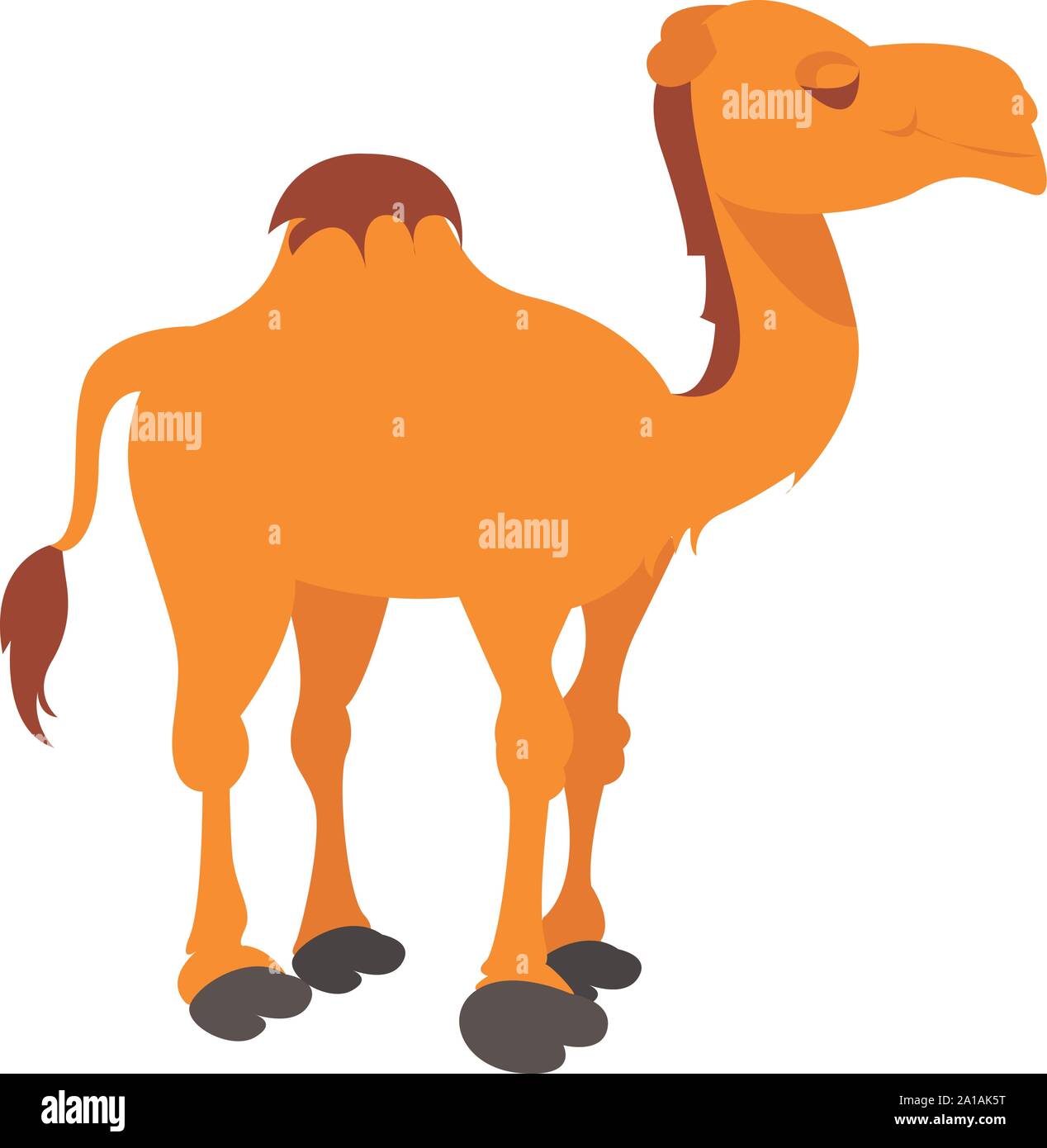 Smiling camel, illustration, vector on white background Stock Vector ...