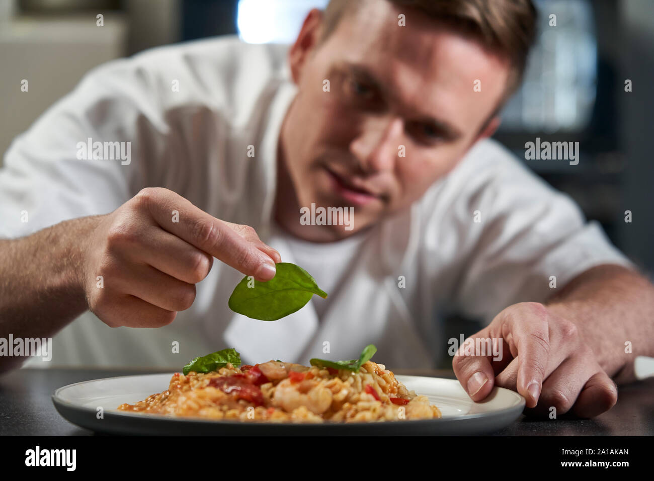Male Chef Garnishing Plate Of Food In Professional Kitchen Stock Photo ...