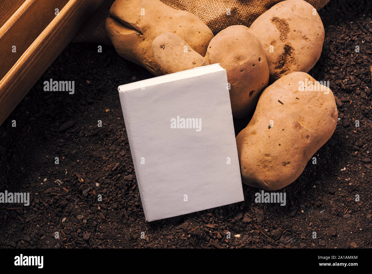 Growing organicpotato book cover mook up with harvested tubers on the ...