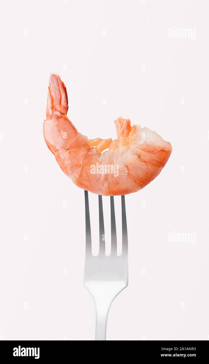 Prawn with fork hi-res stock photography and images - Alamy