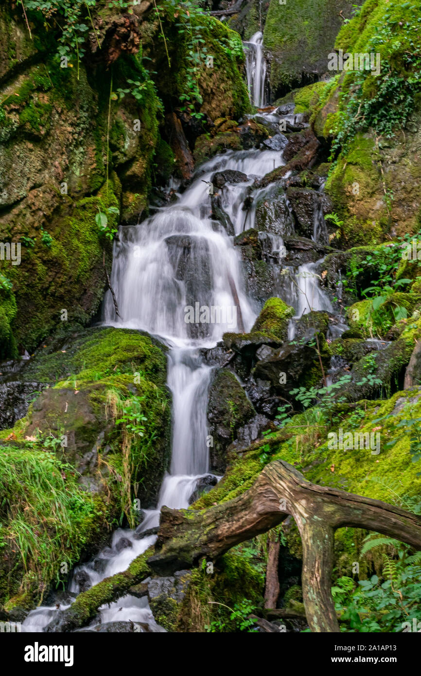 Waterfall near Burrator Reservoir, Plymouth, Dartmoor, Devon Stock ...