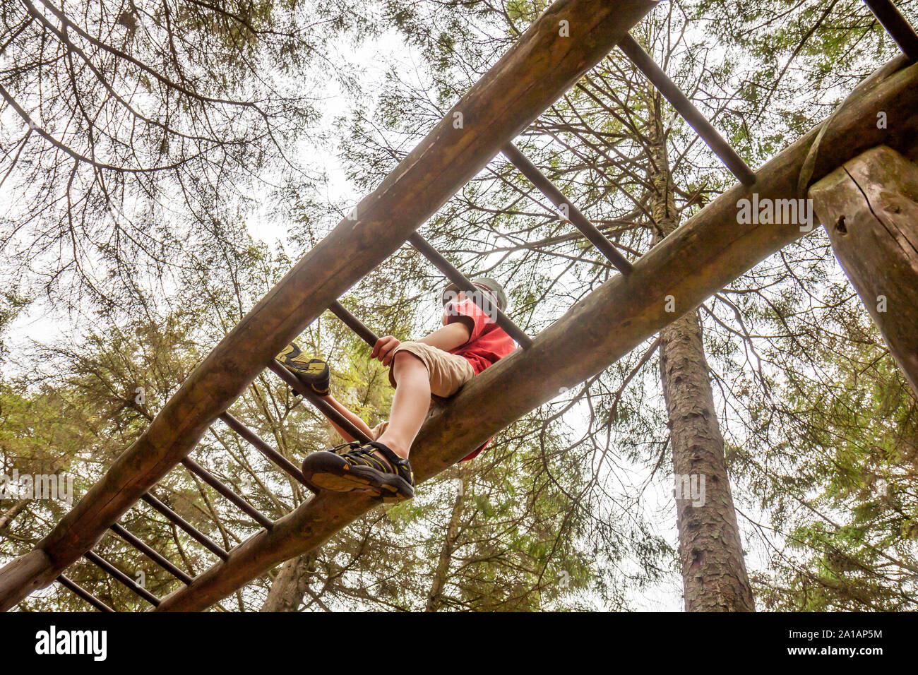 Happy boy having fun climbing on ladder in the forest Stock Photo - Alamy