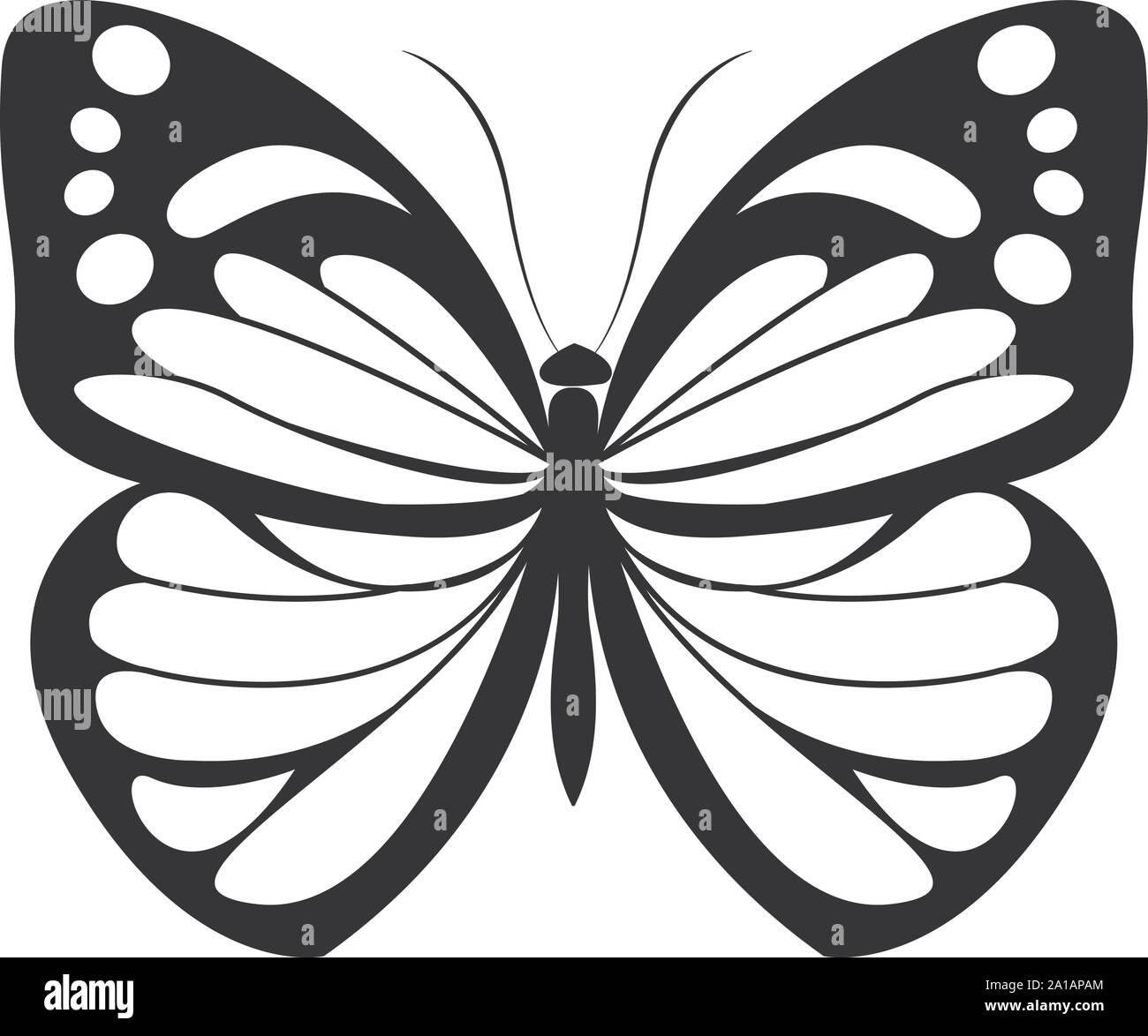 Butterfly drawing, illustration, vector on white background Stock ...