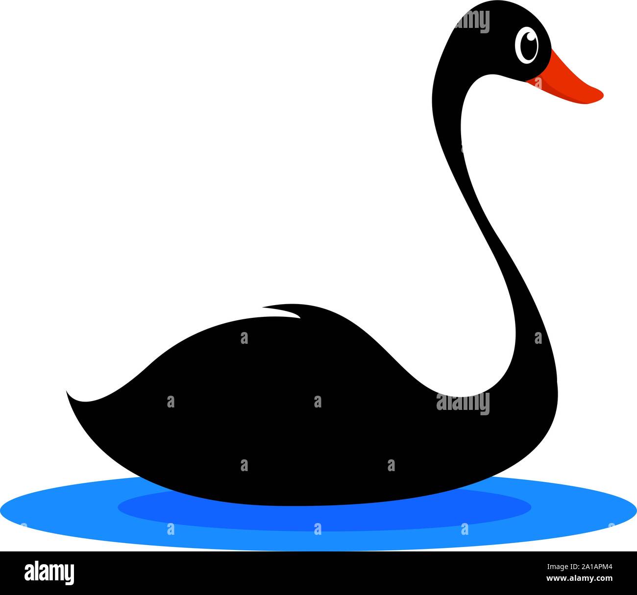 Black Swan Animal Drawing