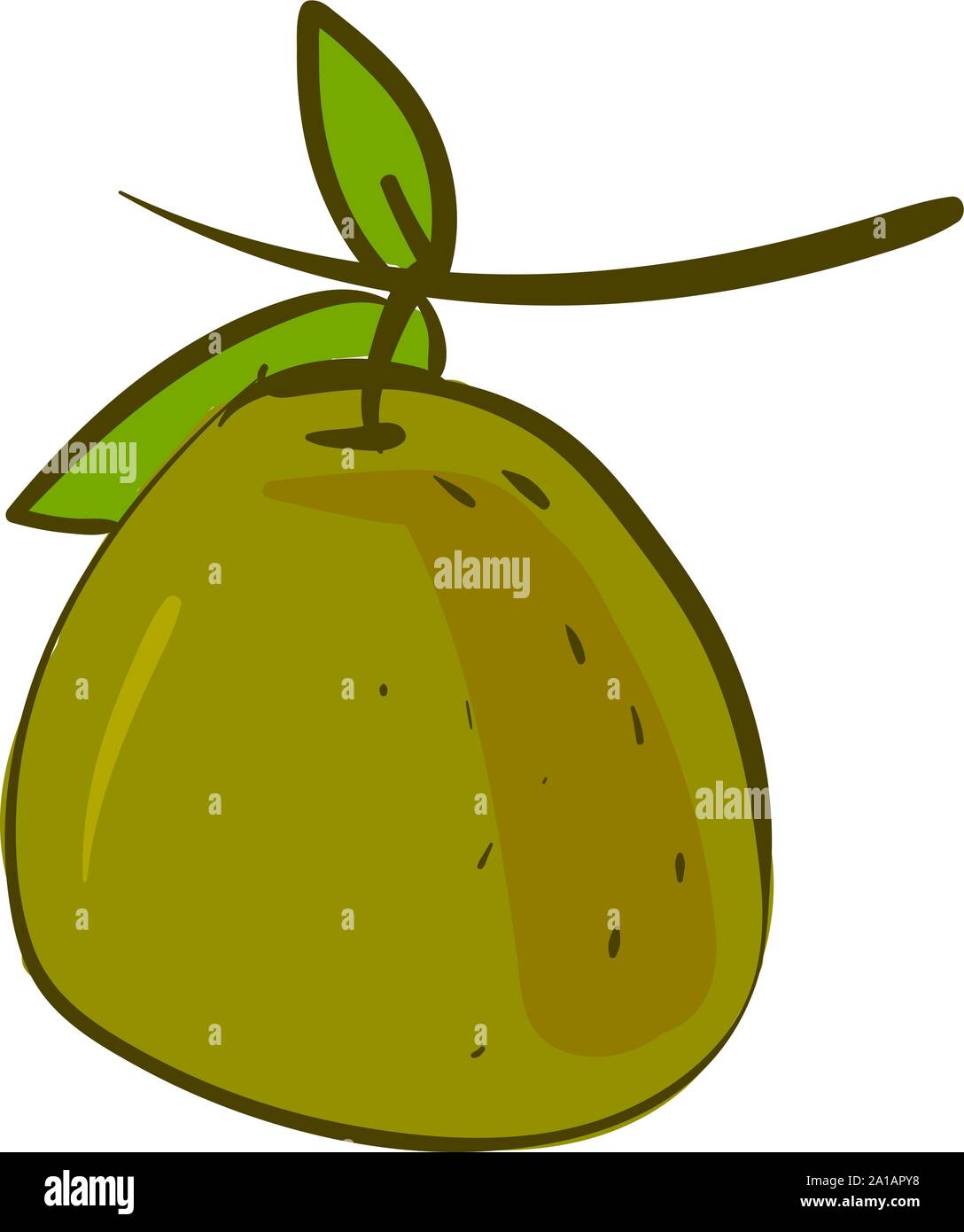 Green fruit, illustration, vector on white background Stock Vector ...