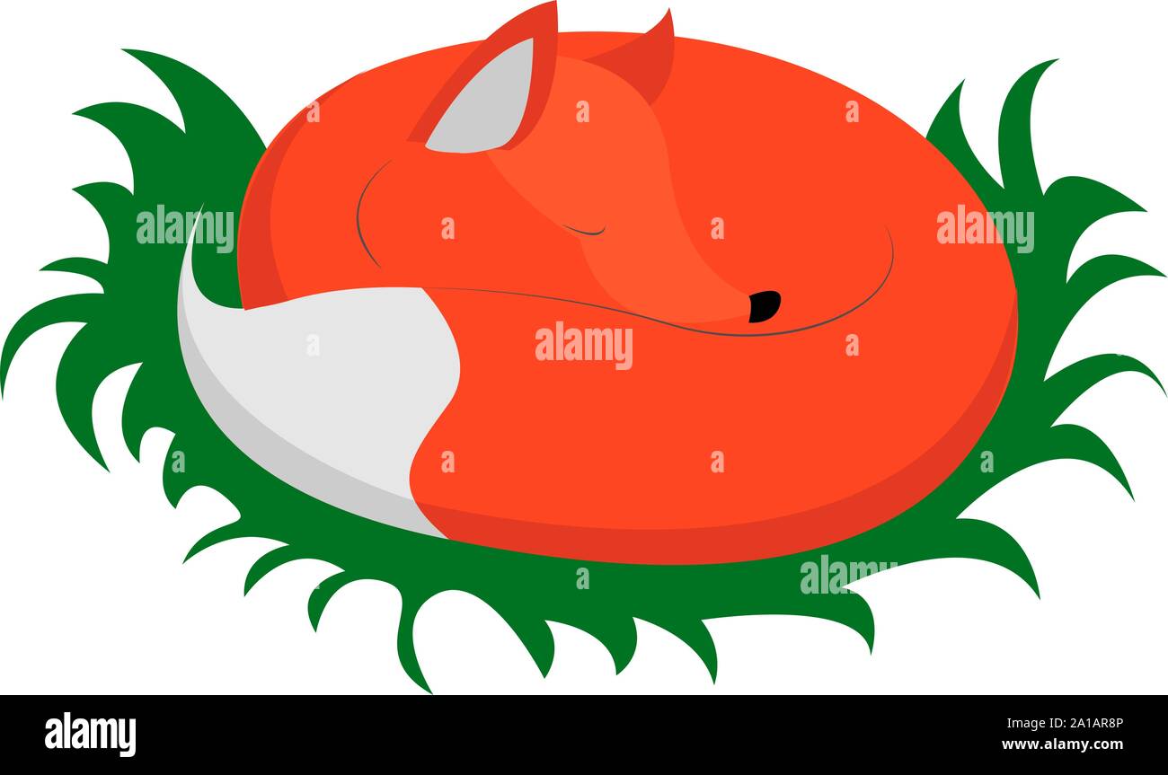 Sleeping fox, illustration, vector on white background Stock Vector ...