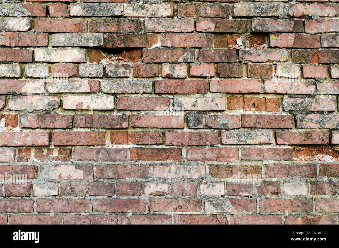 texture of old brick wall Stock Photo - Alamy