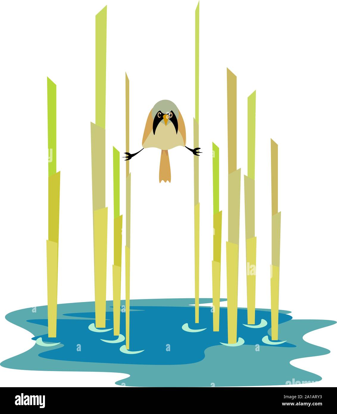 Bearded reedling, illustration, vector on white background Stock Vector ...