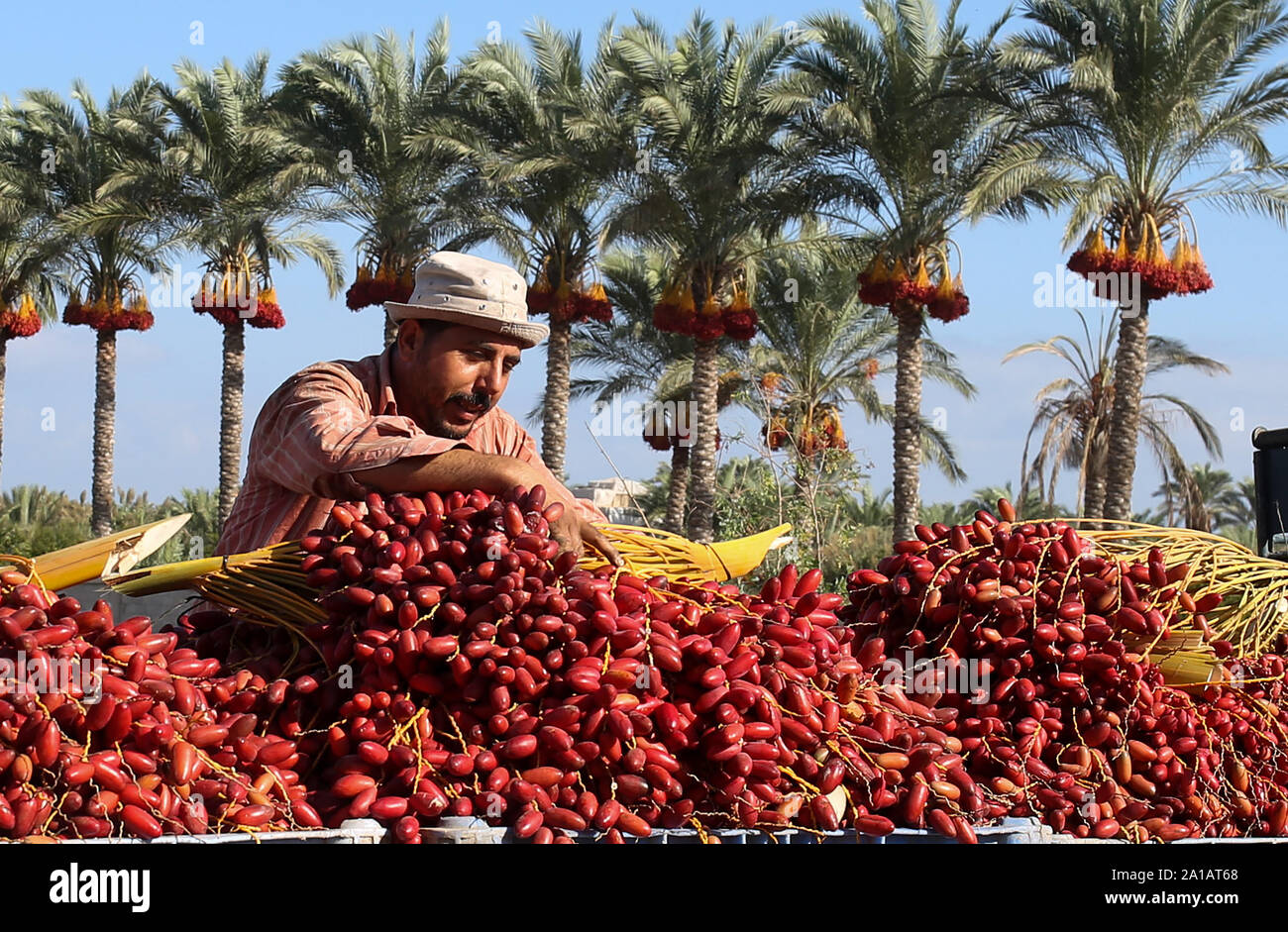 Arabic translation hi-res stock photography and images - Alamy